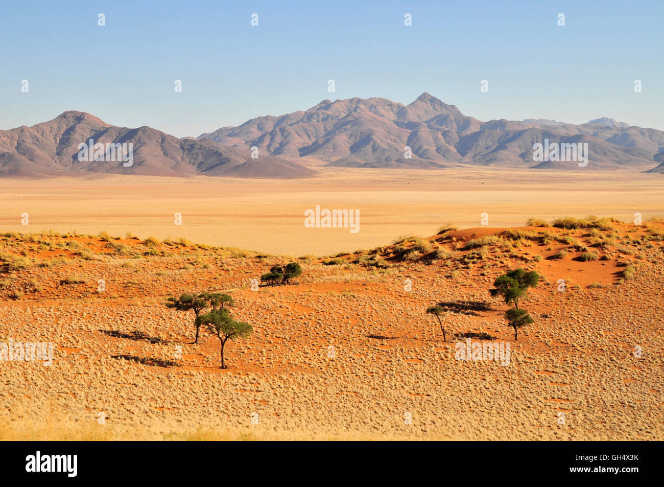 geography / travel, Namibia, with high grass vegetated dune landscape ...