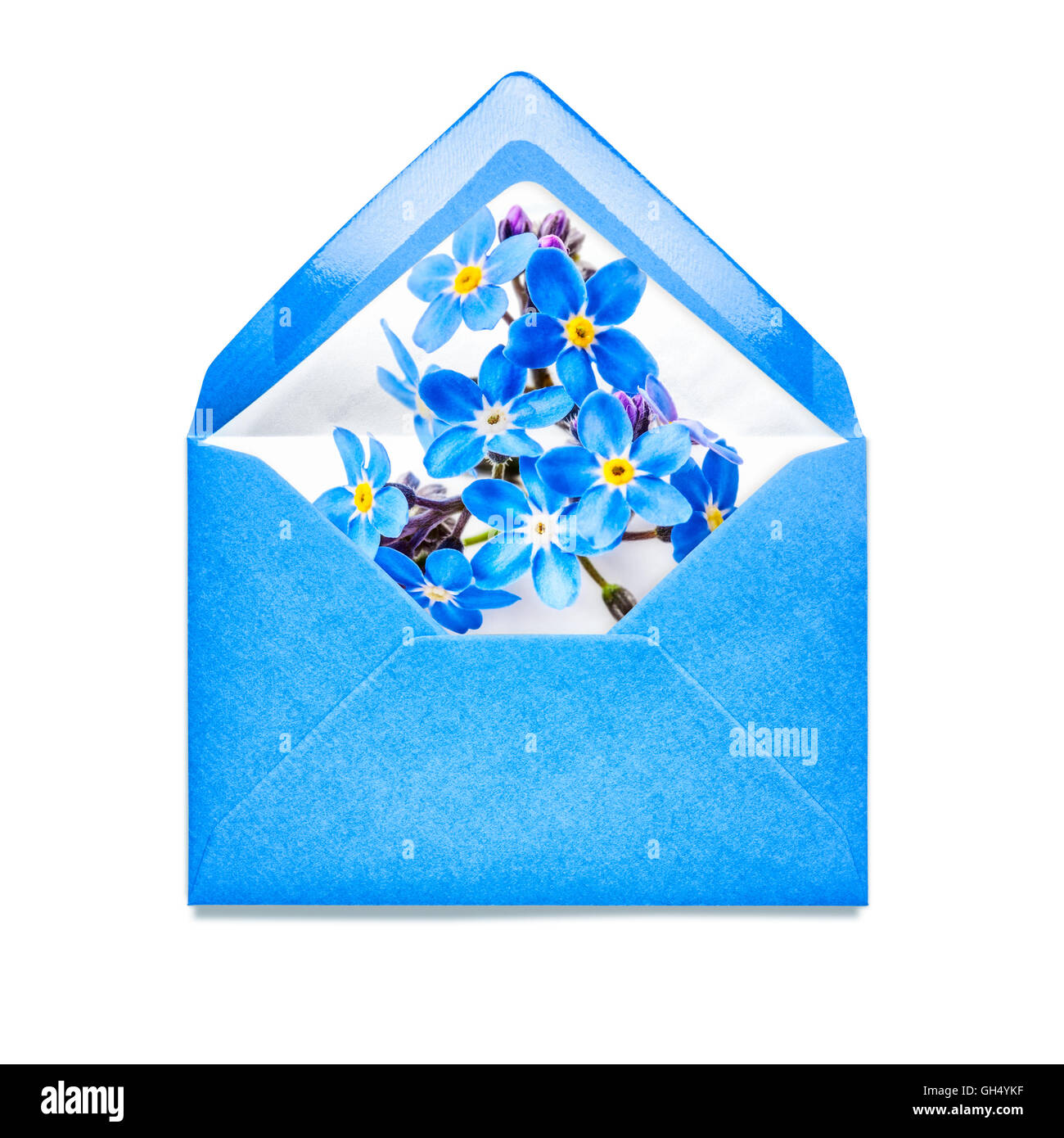 Blue envelope with forget me not flowers. Single object isolated on white background clipping ...