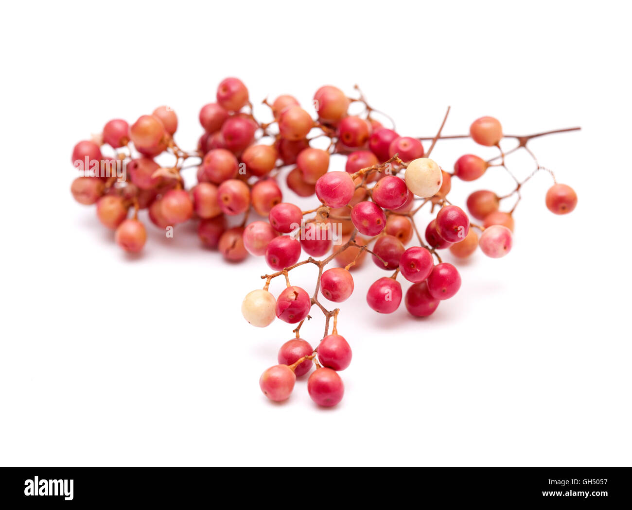 pink peppercorn clusters isolated on white background Stock Photo - Alamy