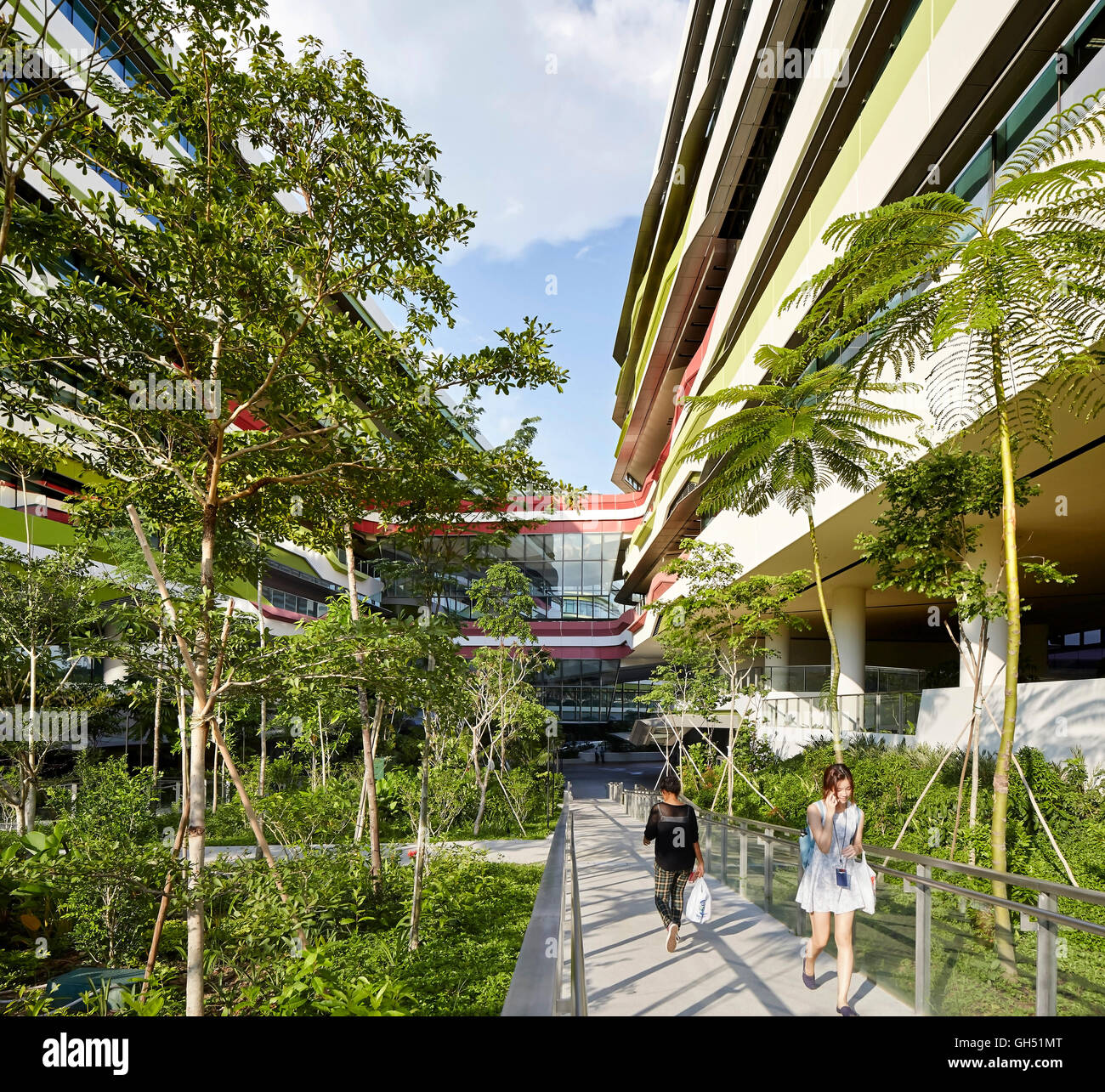 Landscaped walkway ramp within endemic plants. Singapore University of ...