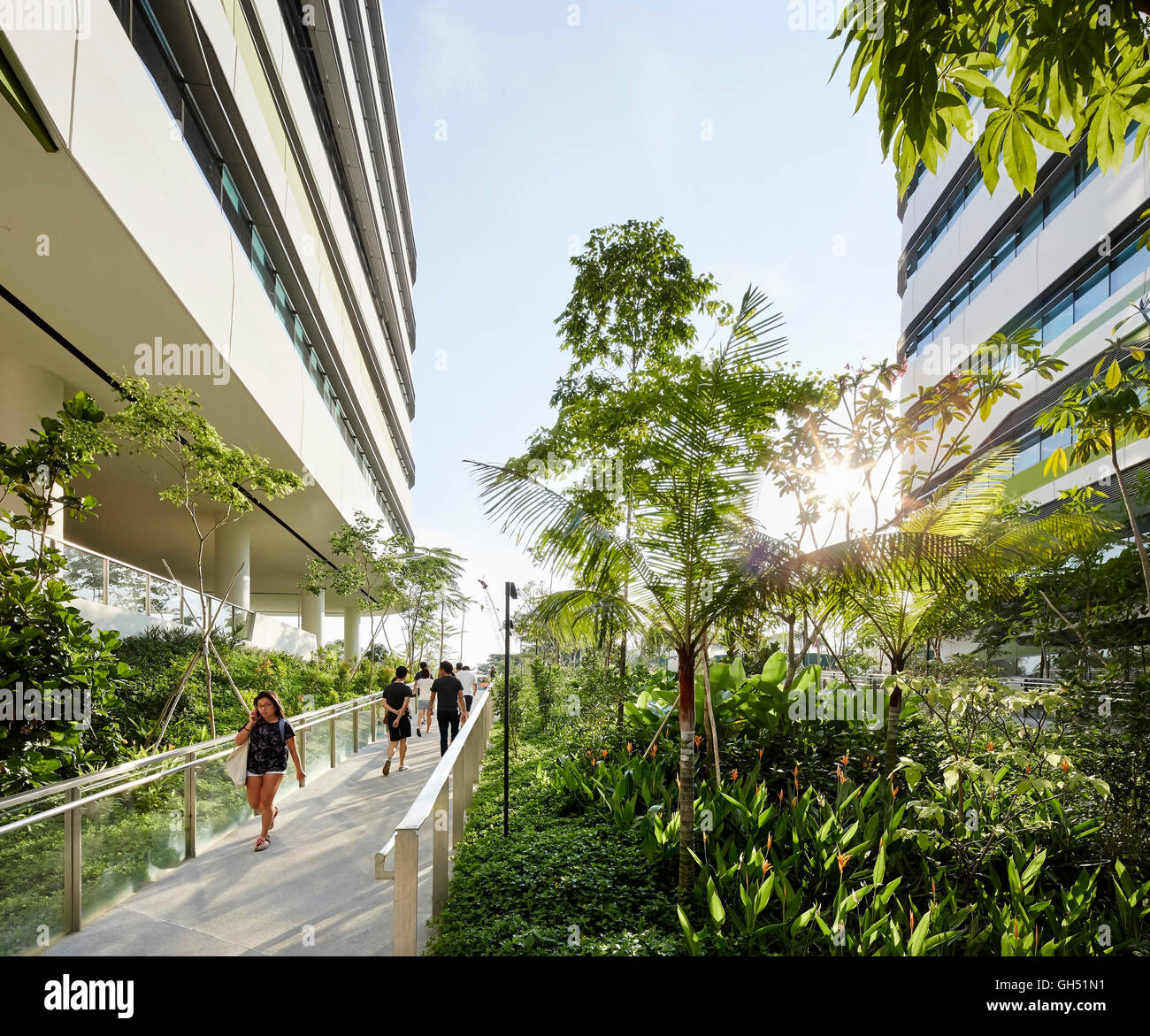 Landscaped walkway ramp along building facade. Singapore University of ...