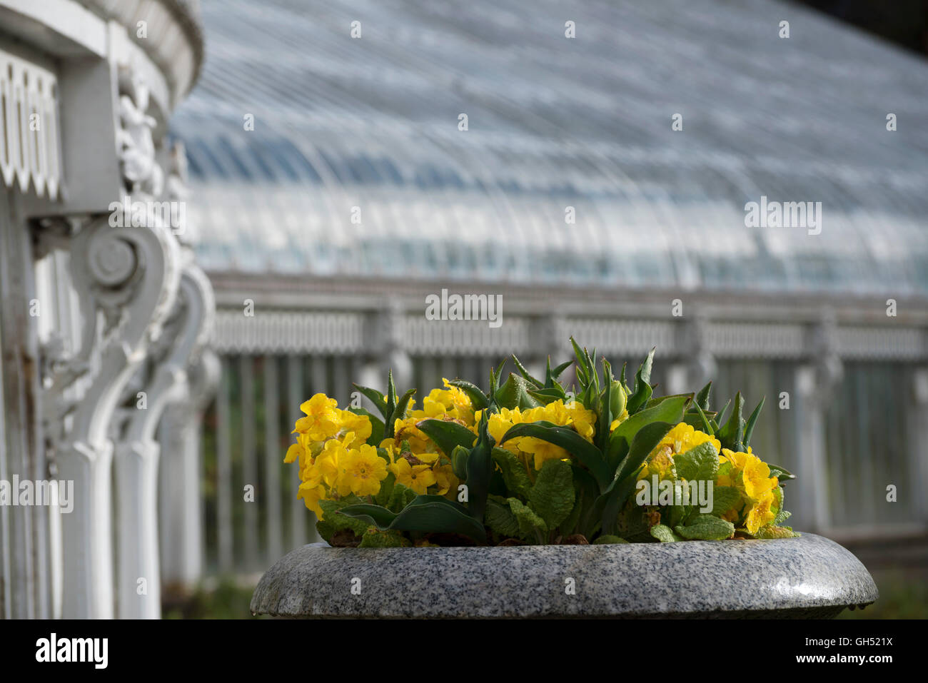 The Belfast Botanic Gardens in the Queens Quarter, Belfast Stock Photo ...