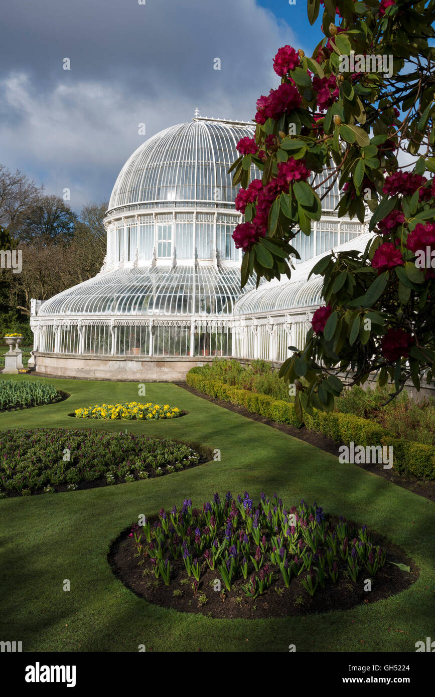 The Belfast Botanic Gardens in the Queens Quarter, Belfast Stock Photo ...