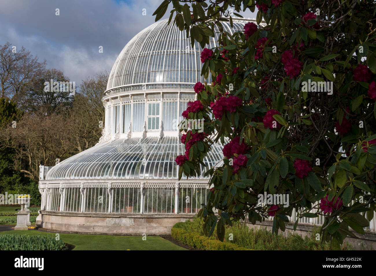 The Belfast Botanic Gardens in the Queens Quarter, Belfast Stock Photo ...