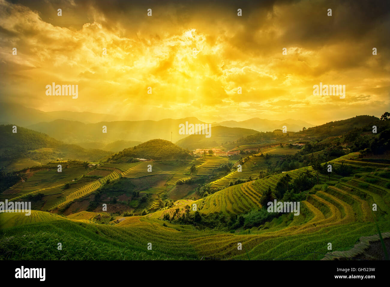 Rice fields on terraced in sunset at Mu chang chai, Yen bai, Vietnam ...