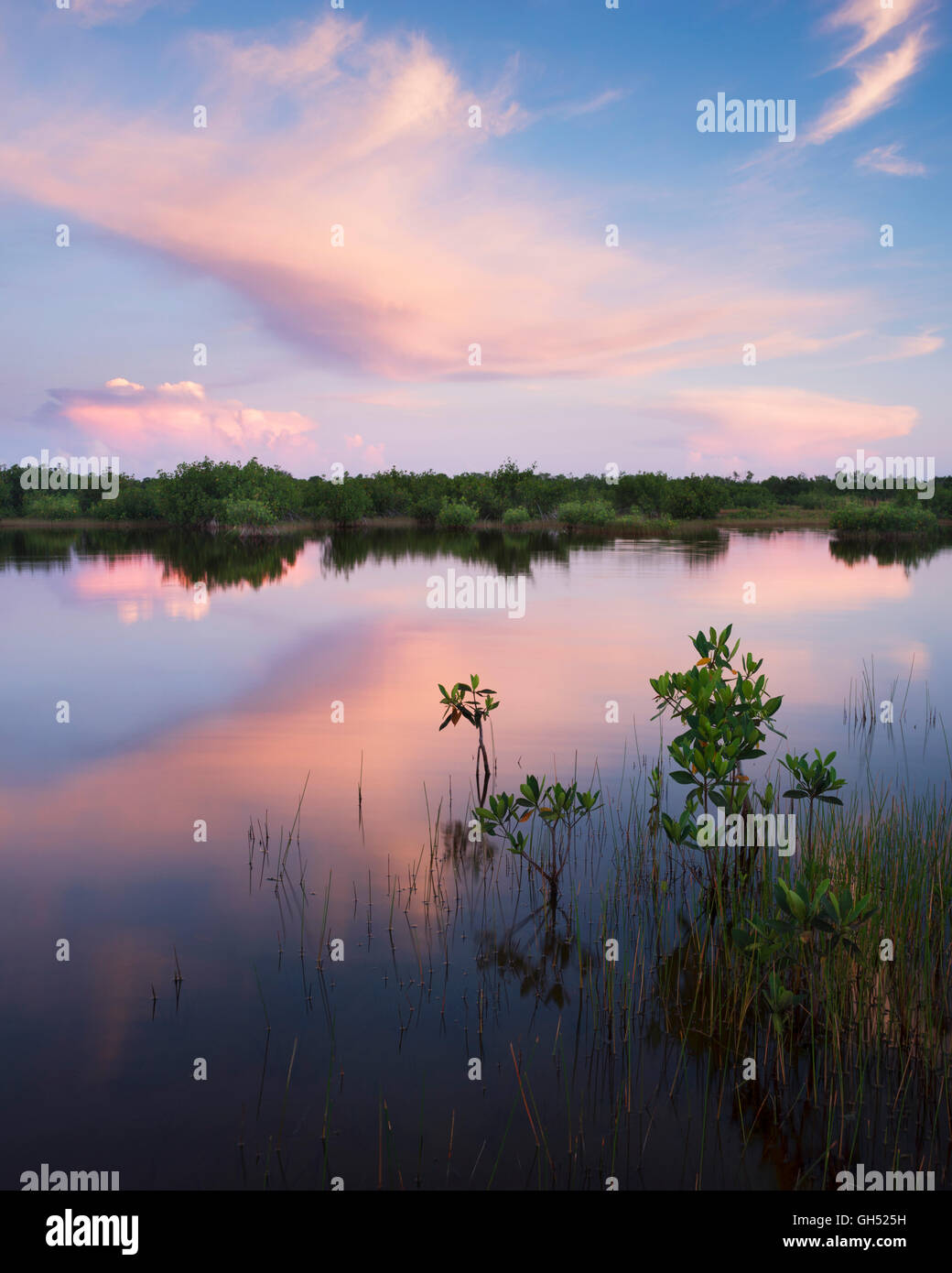Wet prairie hi-res stock photography and images - Alamy