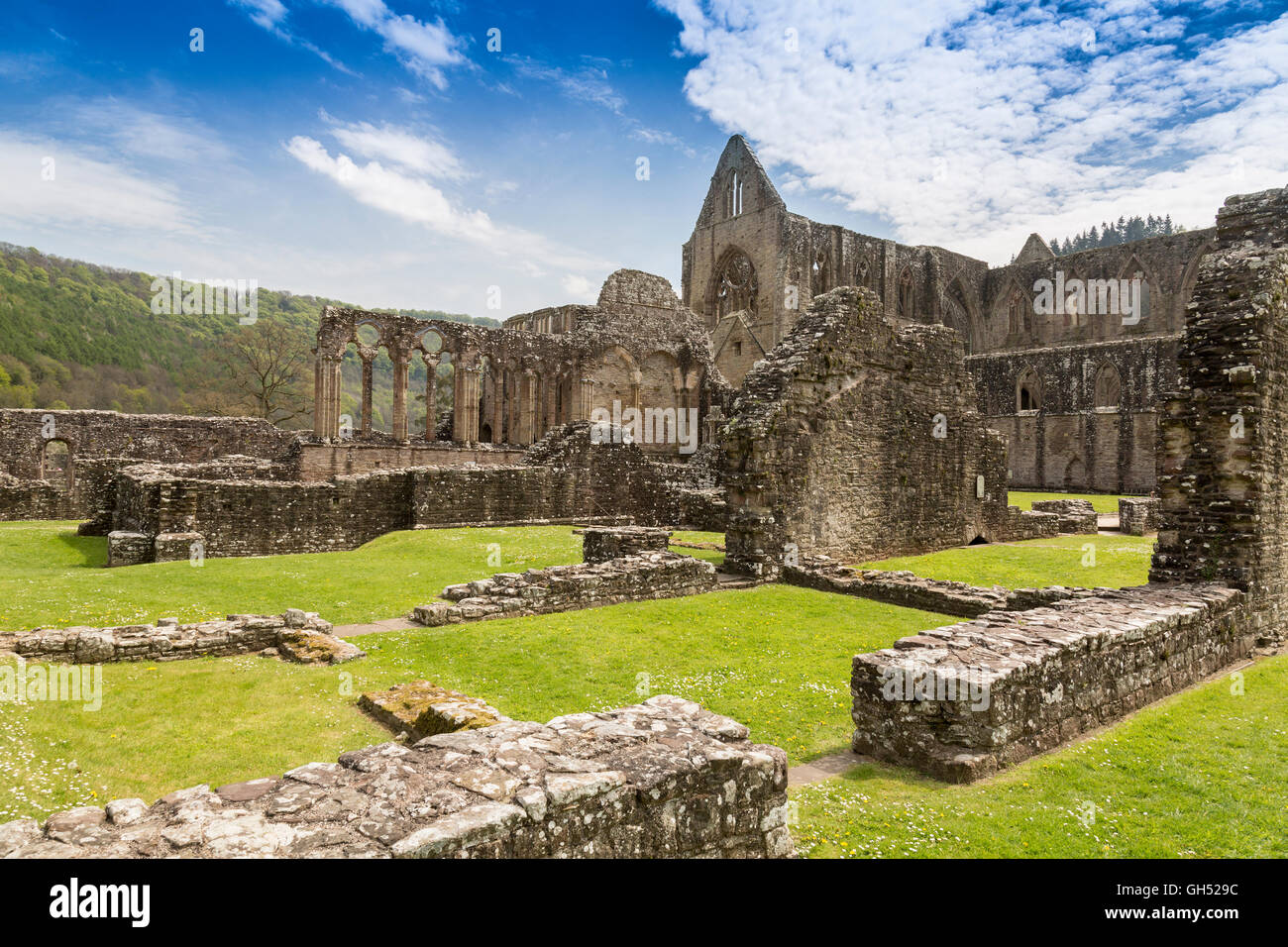 The ruins of Tintern Abbey in the Wye Valley, Monmouthshire, Wales, UK ...