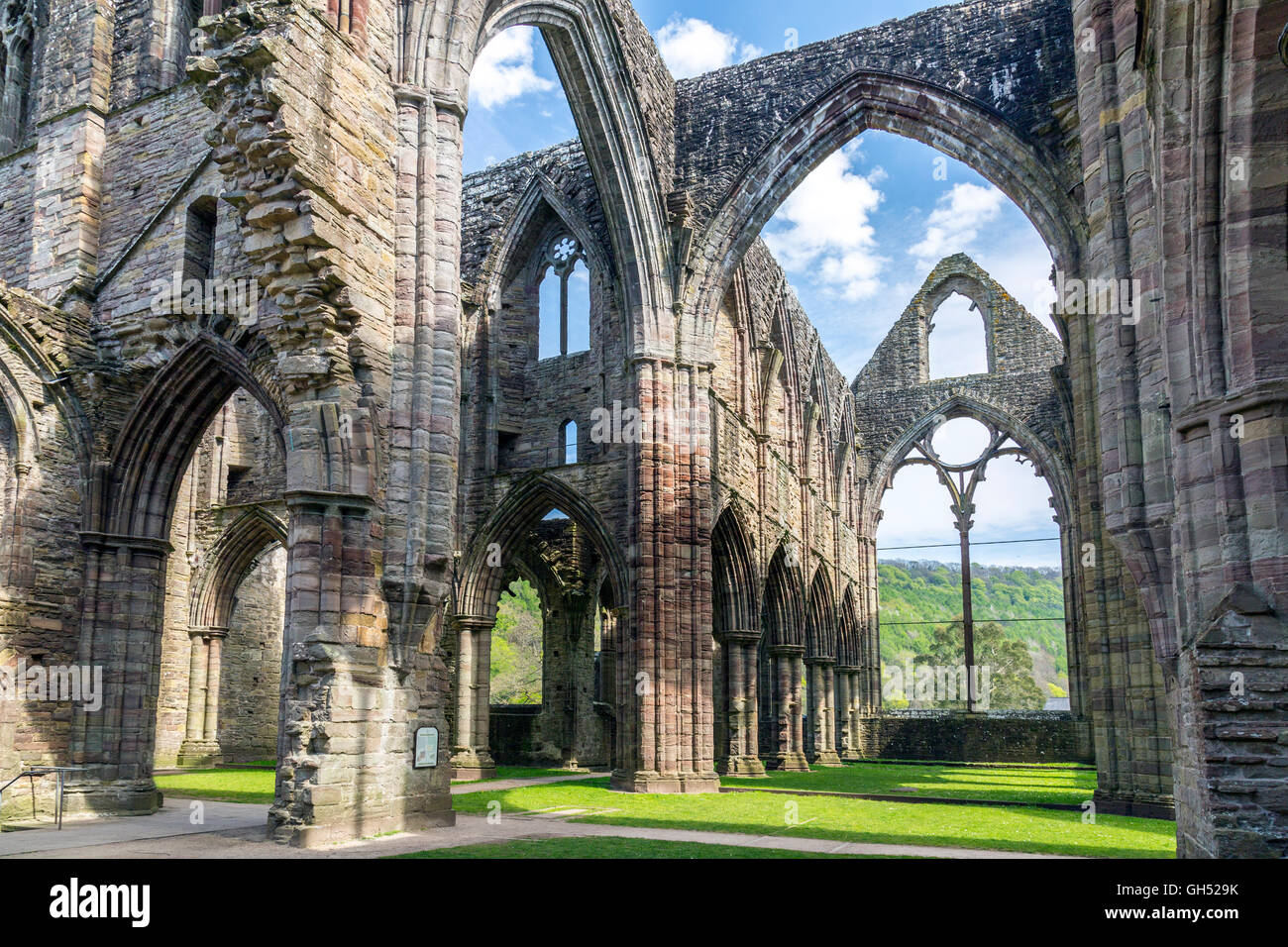 The ruins of Tintern Abbey in the Wye Valley, Monmouthshire, Wales, UK ...