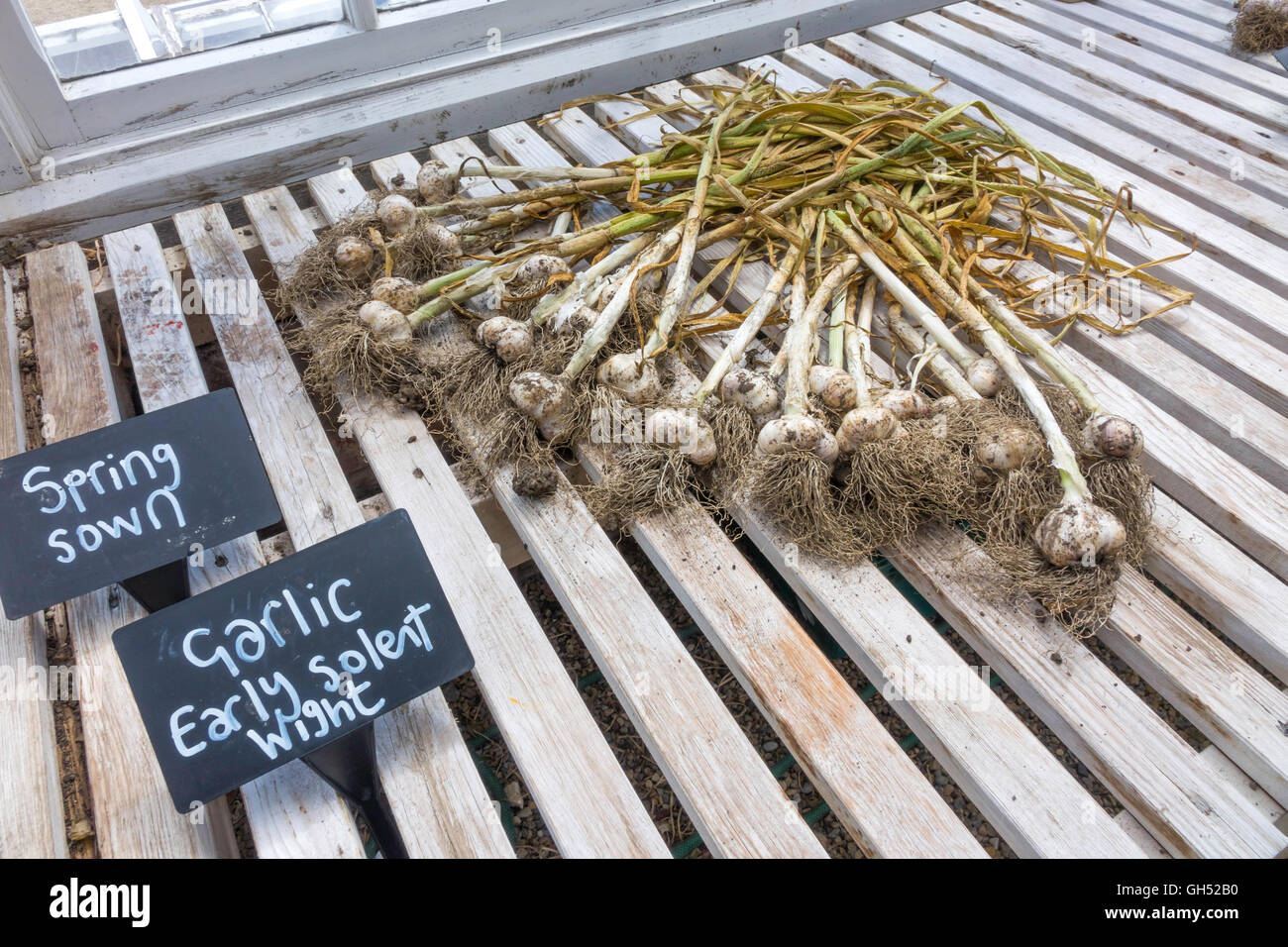 Crop variety hi-res stock photography and images - Alamy