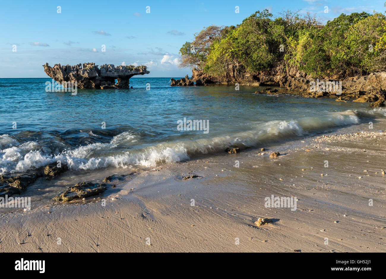 Beach on Quilalea Island in the Quirimbas Archipelago Stock Photo - Alamy