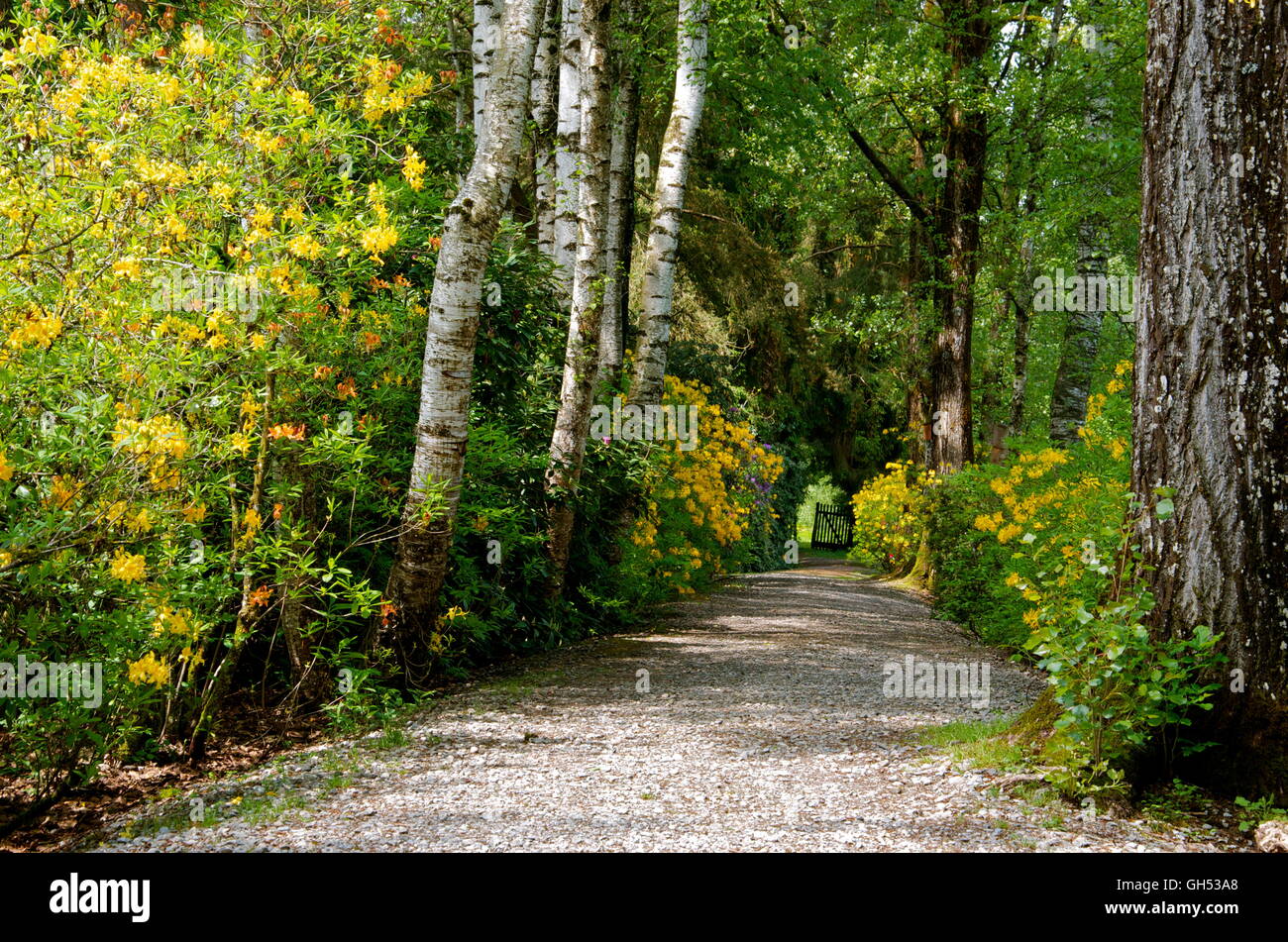Gate at the end of a garden Stock Photo - Alamy