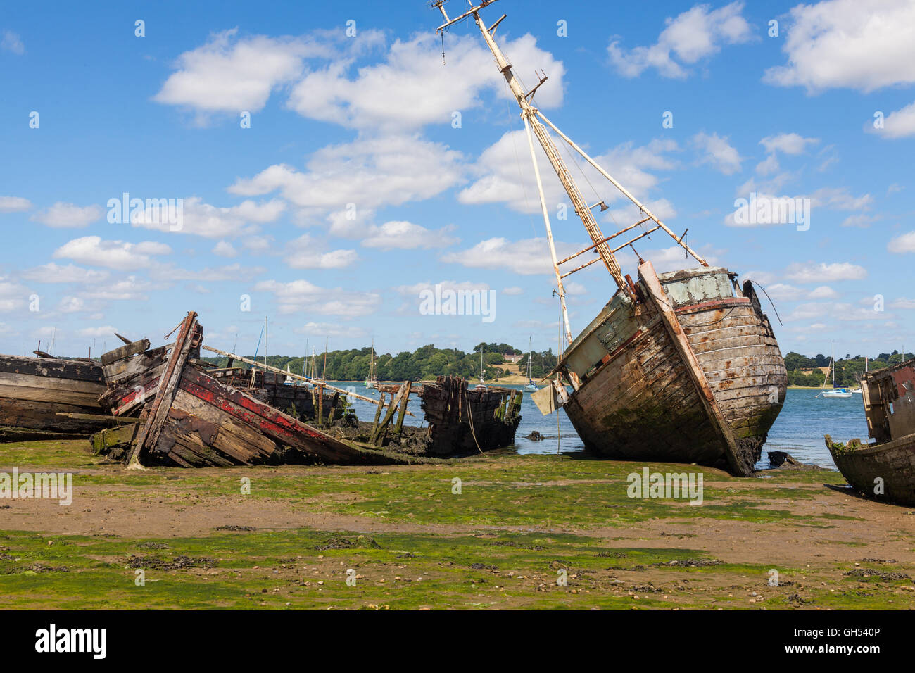 beauty in decaying boats on mud flats Stock Photo - Alamy