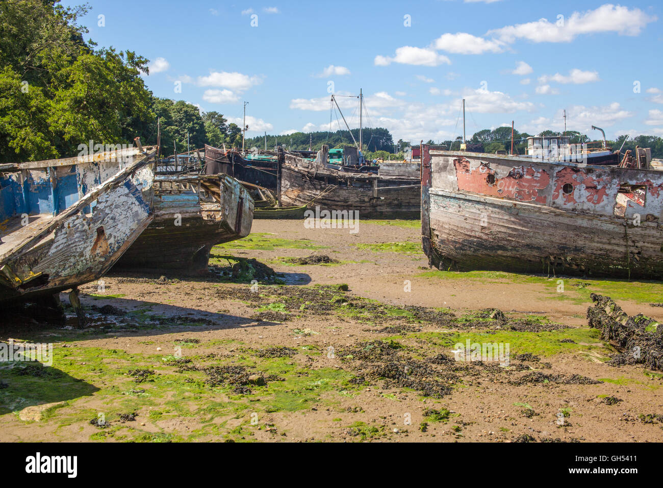 beauty in decaying boats on mud flats Stock Photo - Alamy