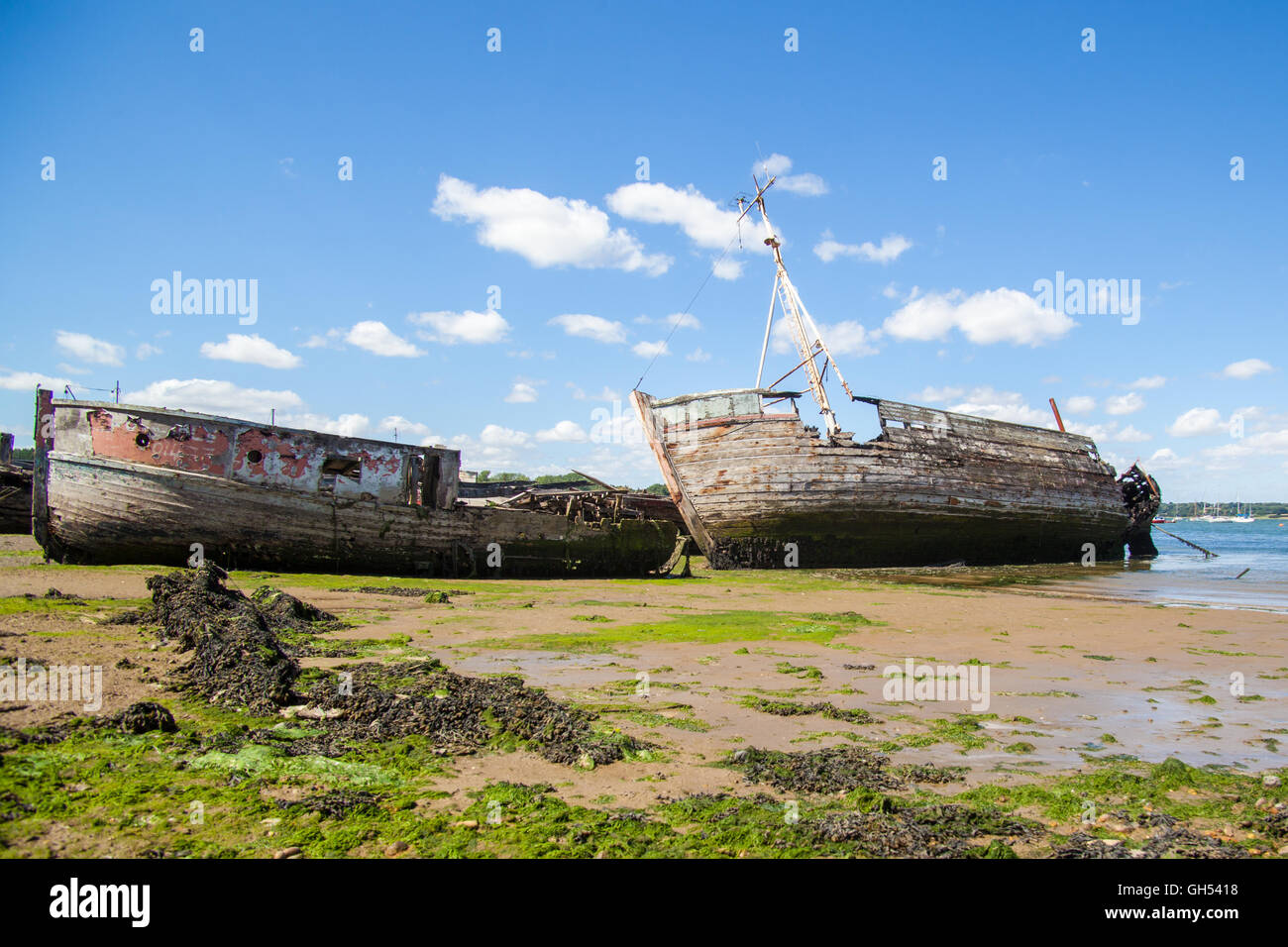 beauty in decaying boats on mud flats Stock Photo - Alamy
