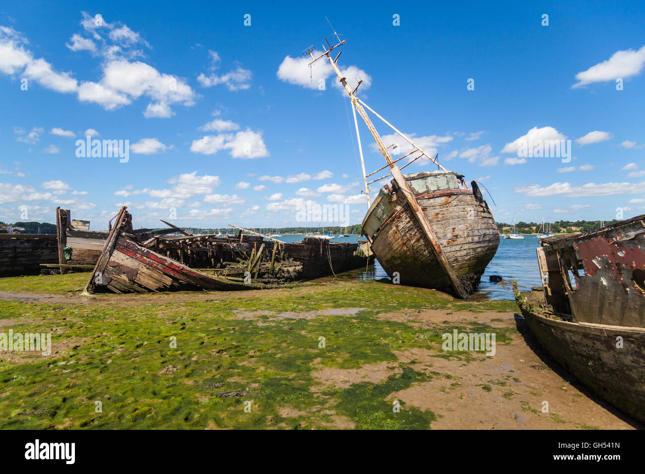 beauty in decaying boats on mud flats Stock Photo - Alamy