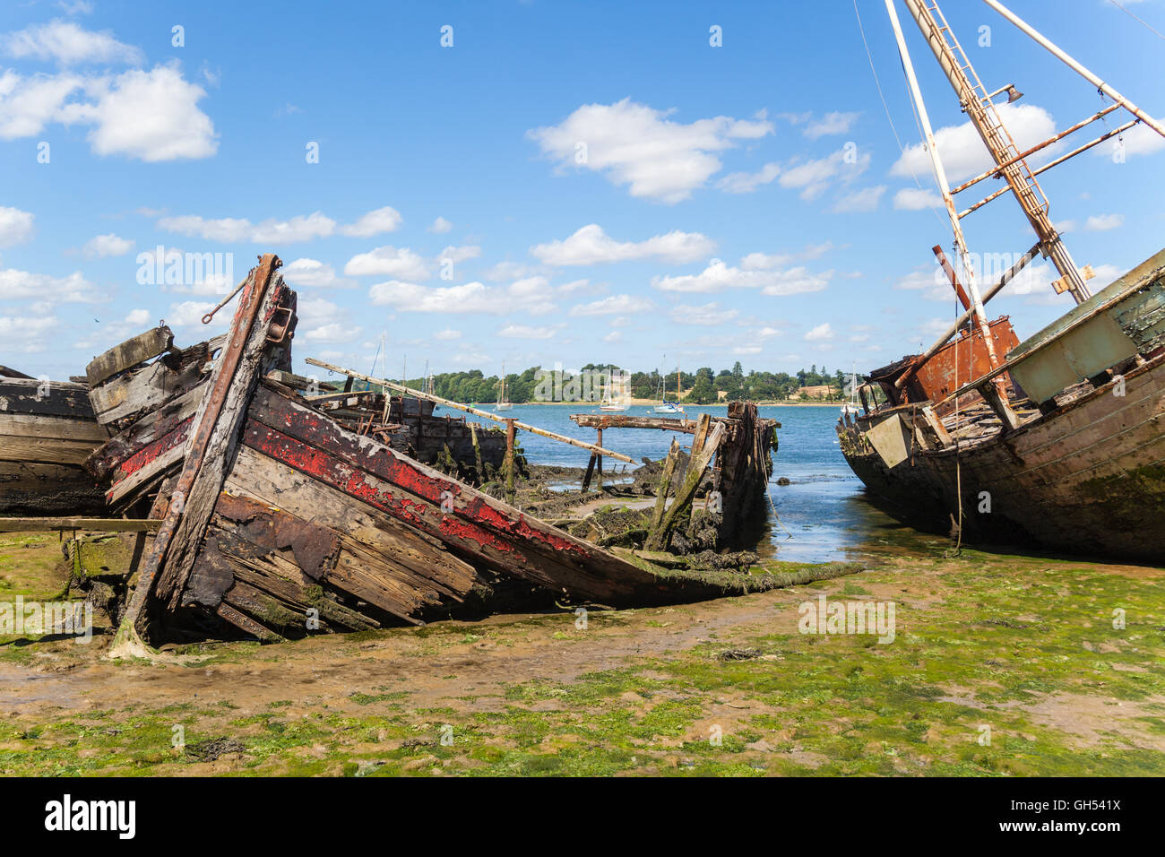 beauty in decaying boats on mud flats Stock Photo - Alamy