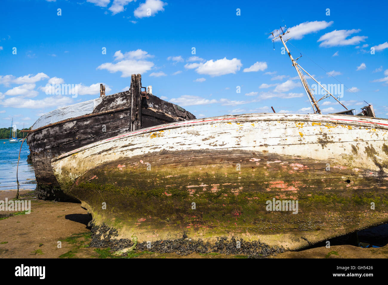 beauty in decaying boats on mud flats Stock Photo - Alamy