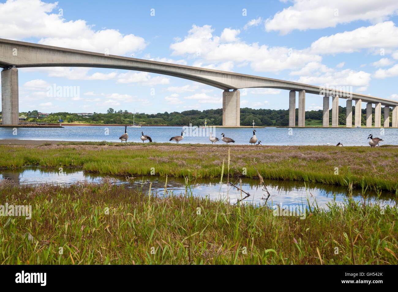 view of the orwell bridge crossing in suffolk Stock Photo - Alamy