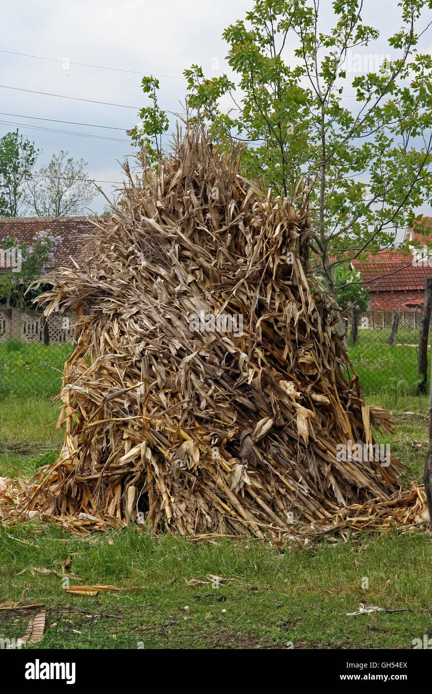 Stack hay mountain hi-res stock photography and images - Alamy