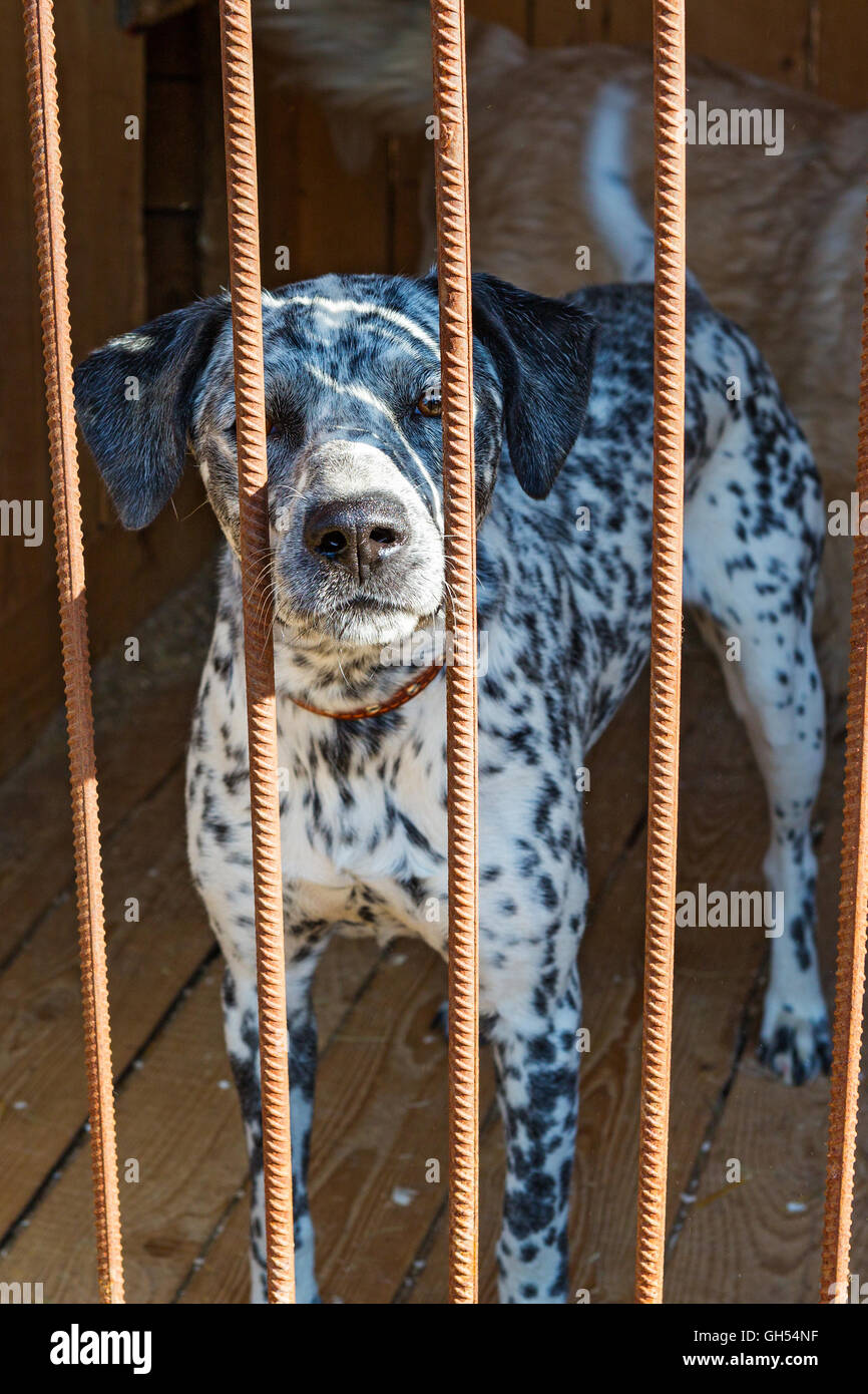 Big prison hi-res stock photography and images - Alamy