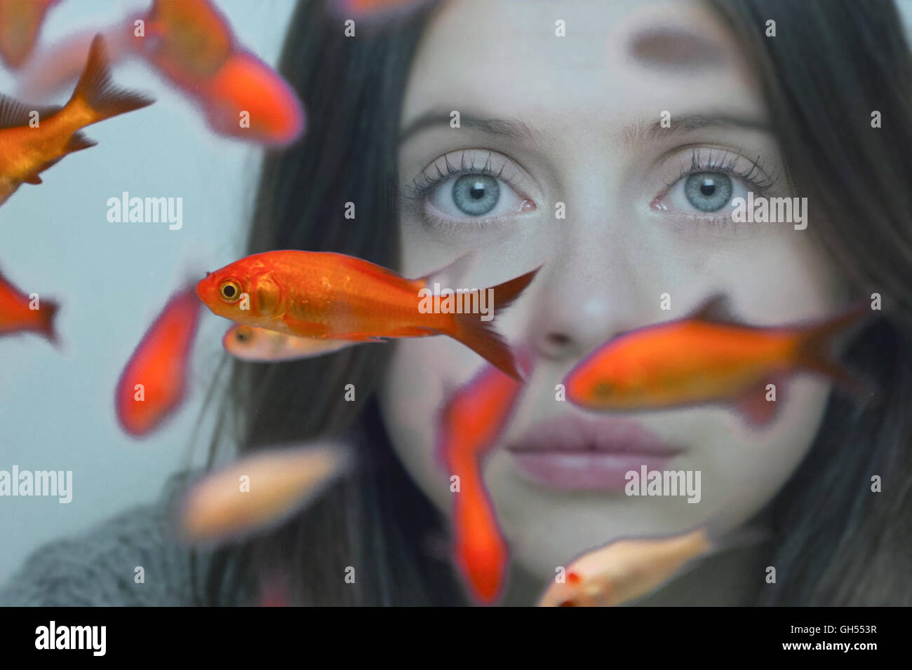 Pilby hi-res stock photography and images - Alamy