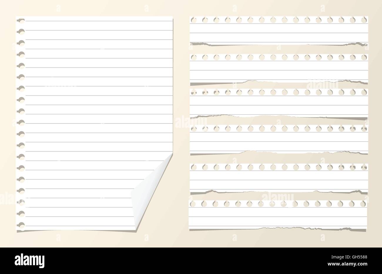 Pieces of white ruled blank notebook paper sheets Stock Vector Image ...