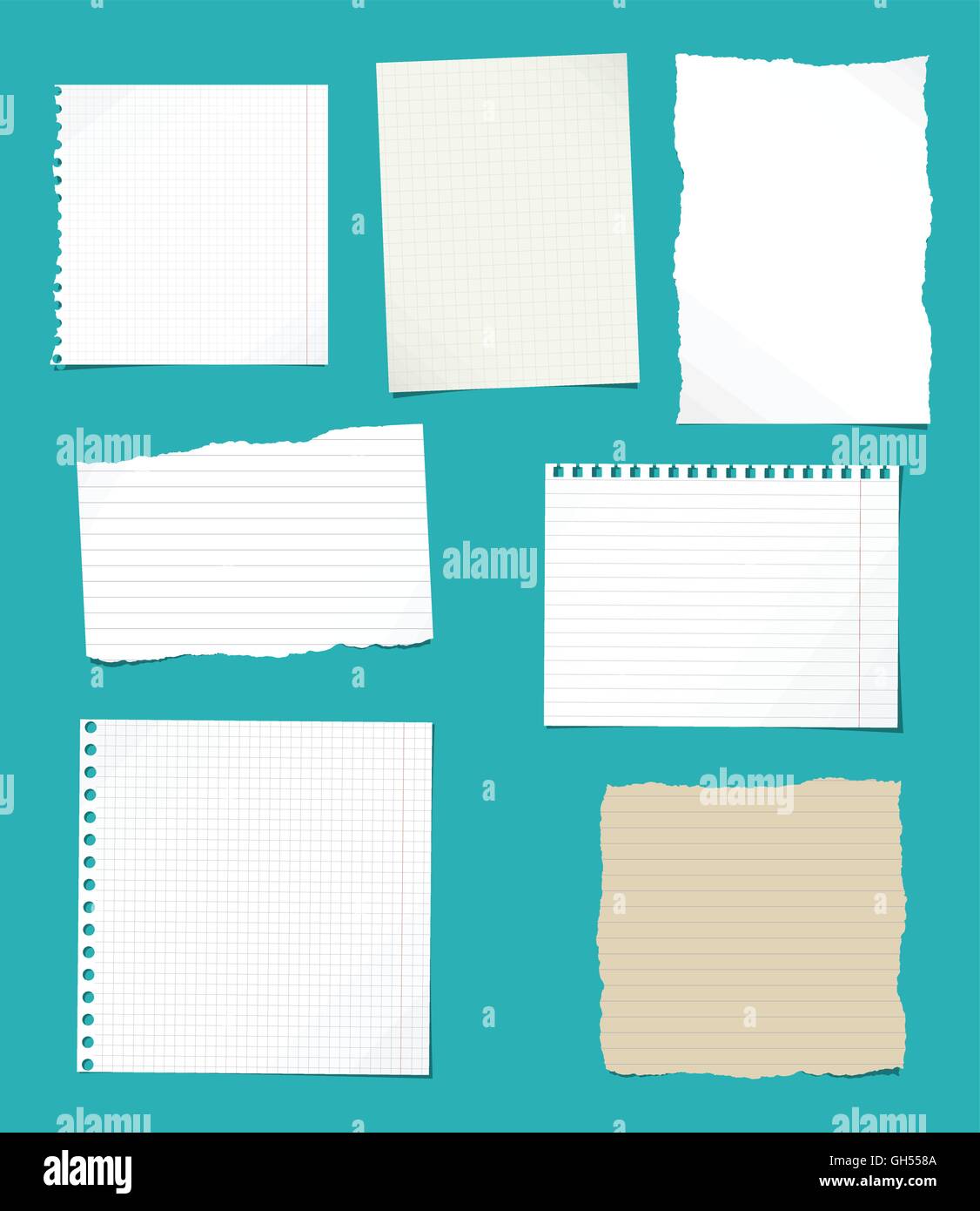 Set of ripped white and brown ruled, math notebook paper sheets Stock ...