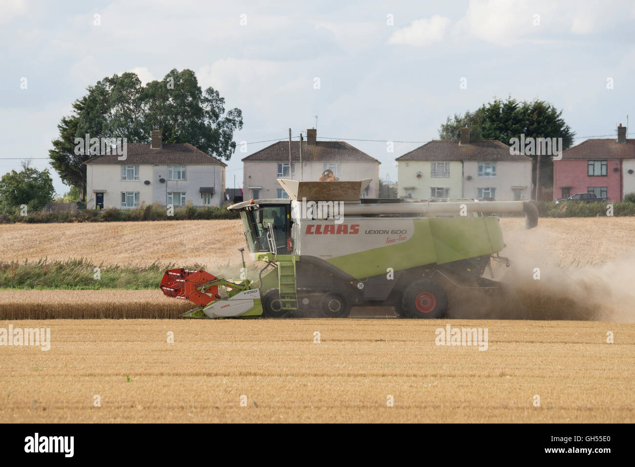 Combine harvester unloads harvested hi-res stock photography and images ...