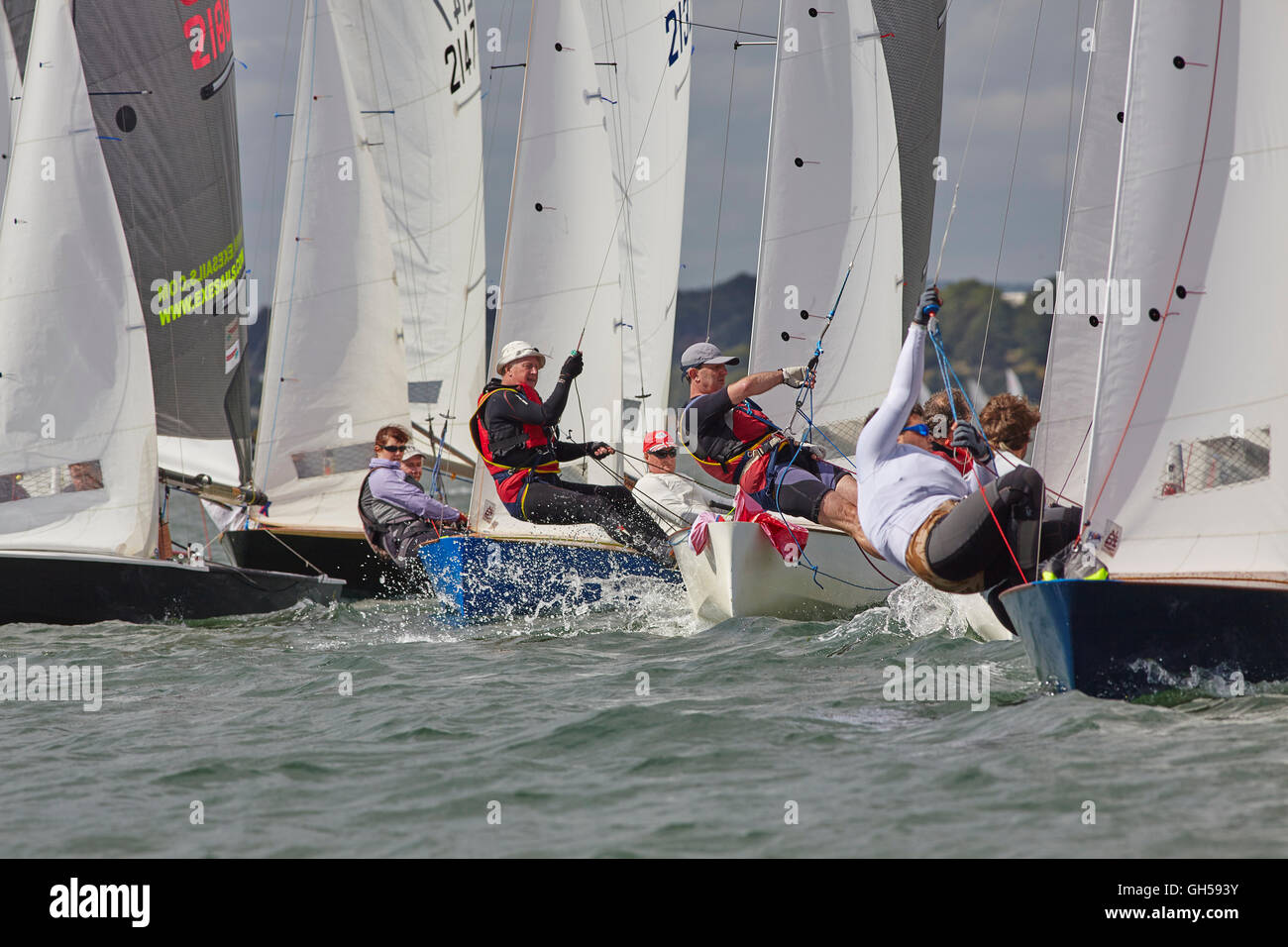 Competitive sailing dinghy racing, in the estuary of the River Exe ...