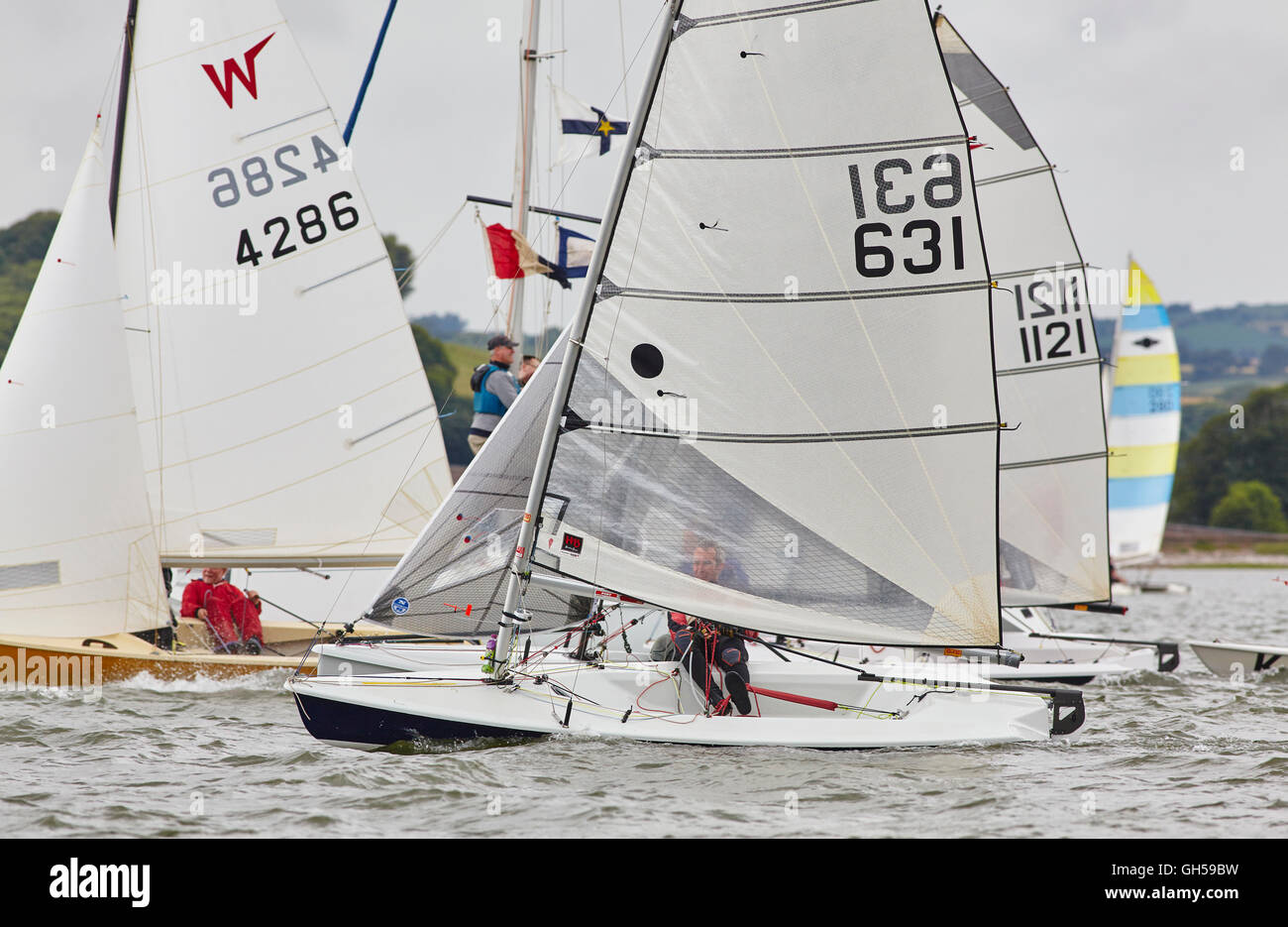 Competitive sailing dinghy racing, in the estuary of the River Exe ...
