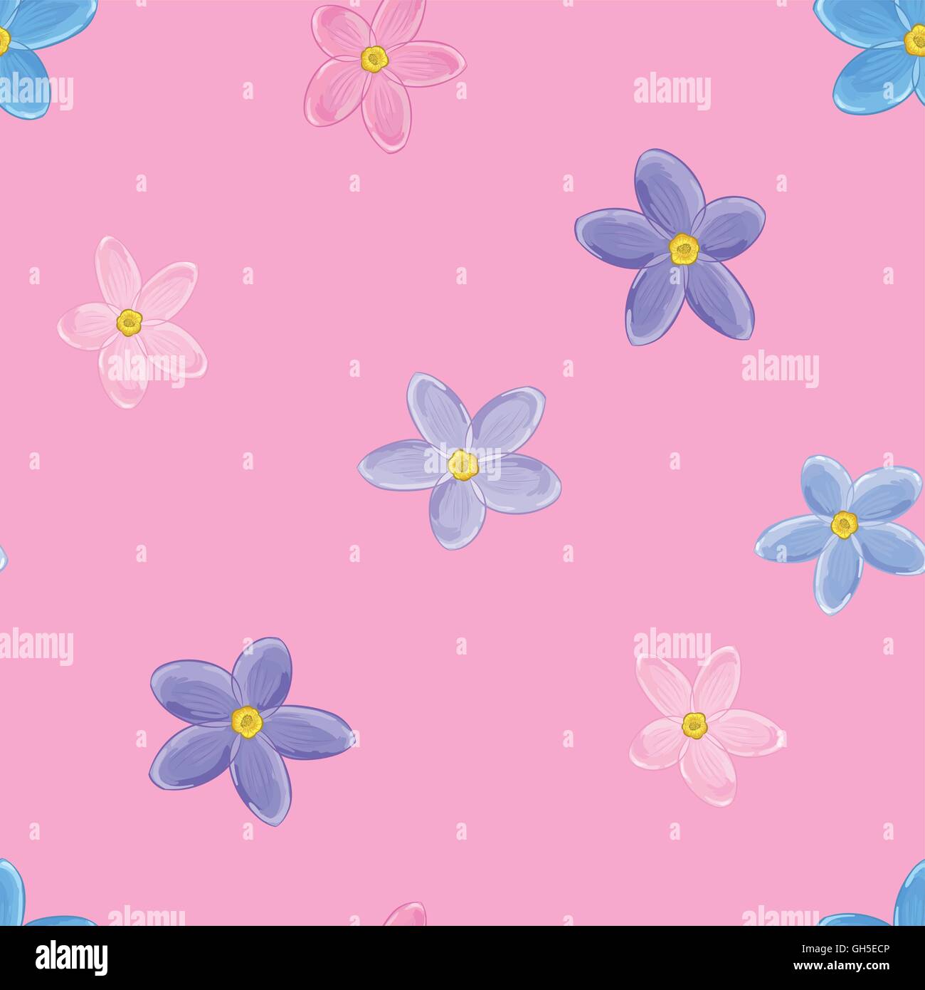 Seamless forget-me-not pattern Stock Vector Image & Art - Alamy