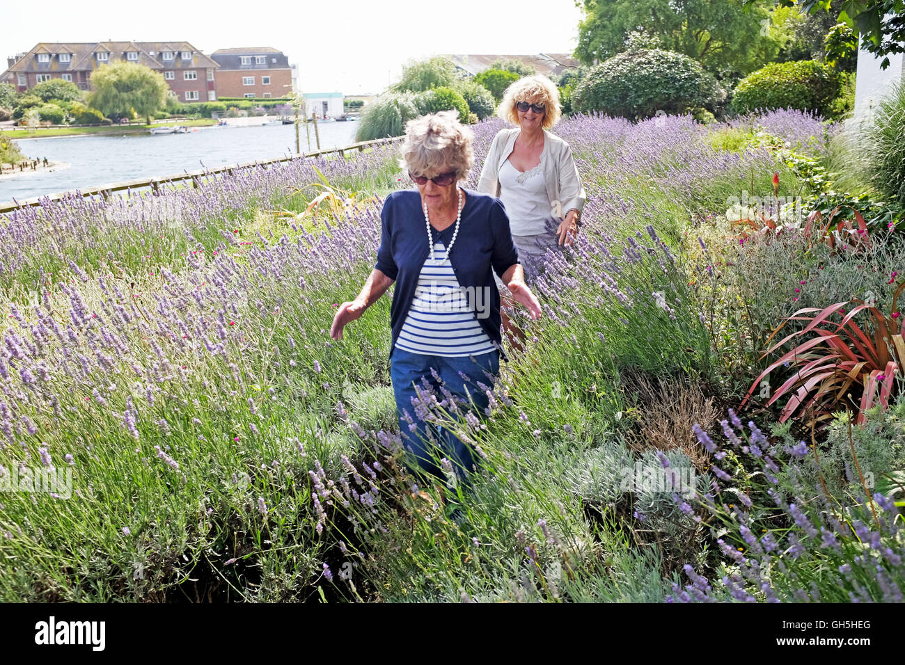 Walk through flowers hi-res stock photography and images - Alamy