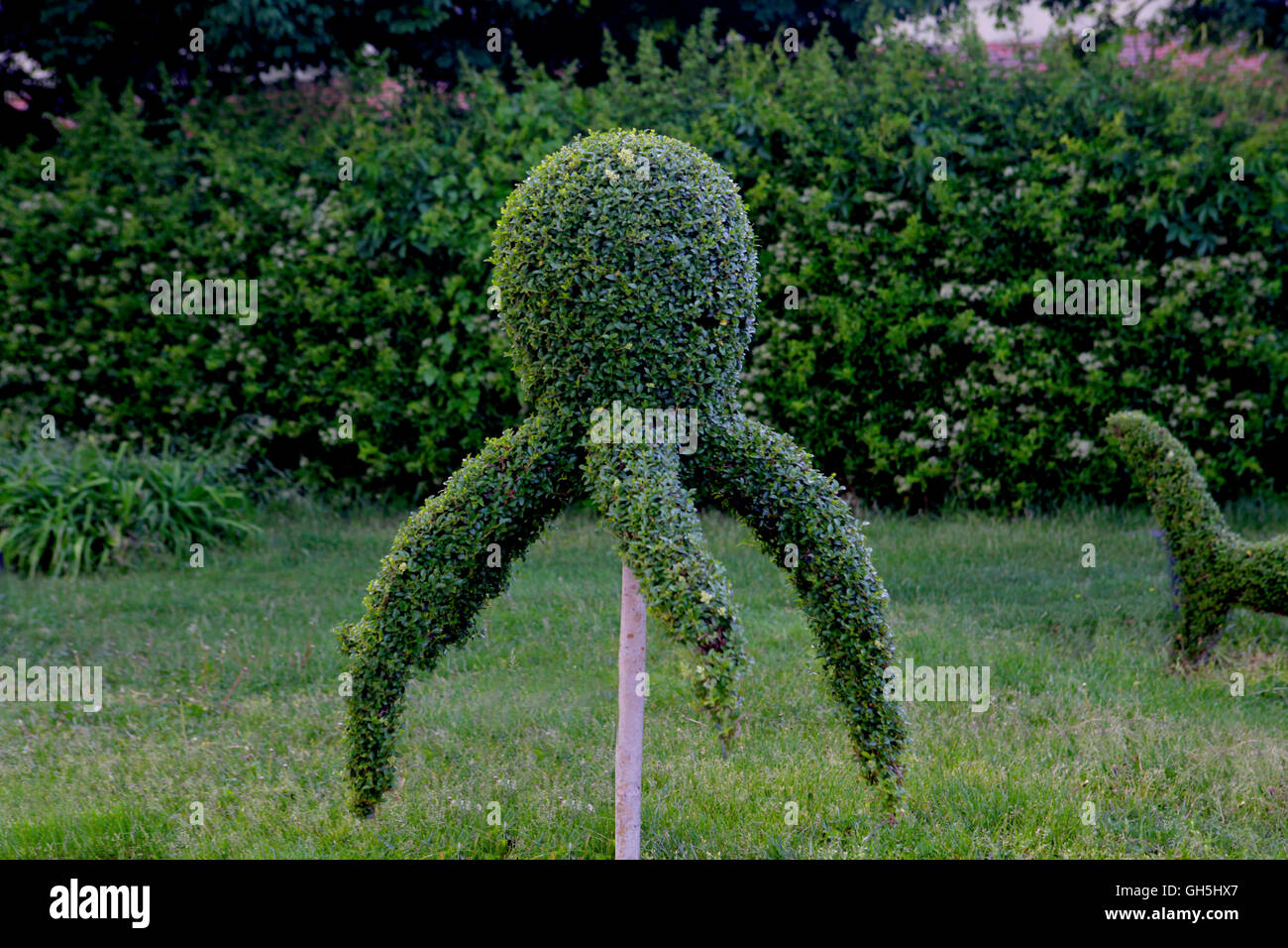 Famous octopus hi-res stock photography and images - Alamy