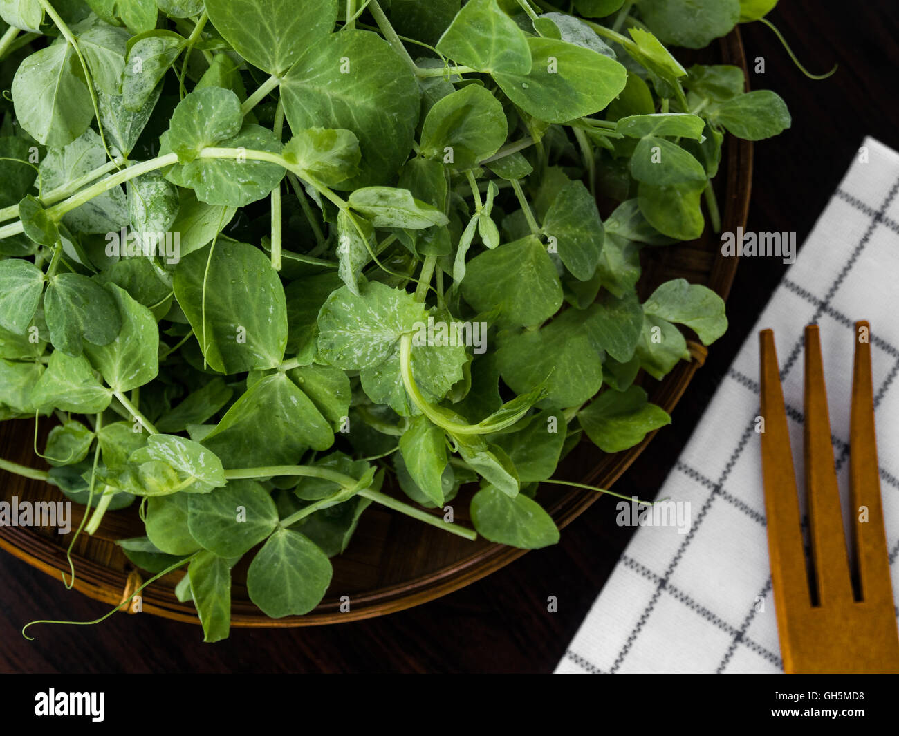 Healthy young plants hi-res stock photography and images - Alamy