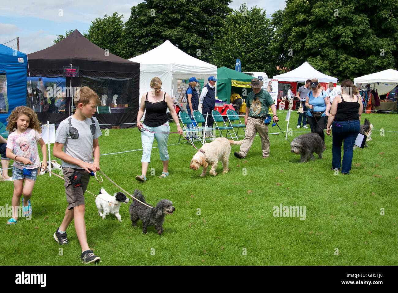 Village dog show, Oxfordshire, UK Stock Photo - Alamy