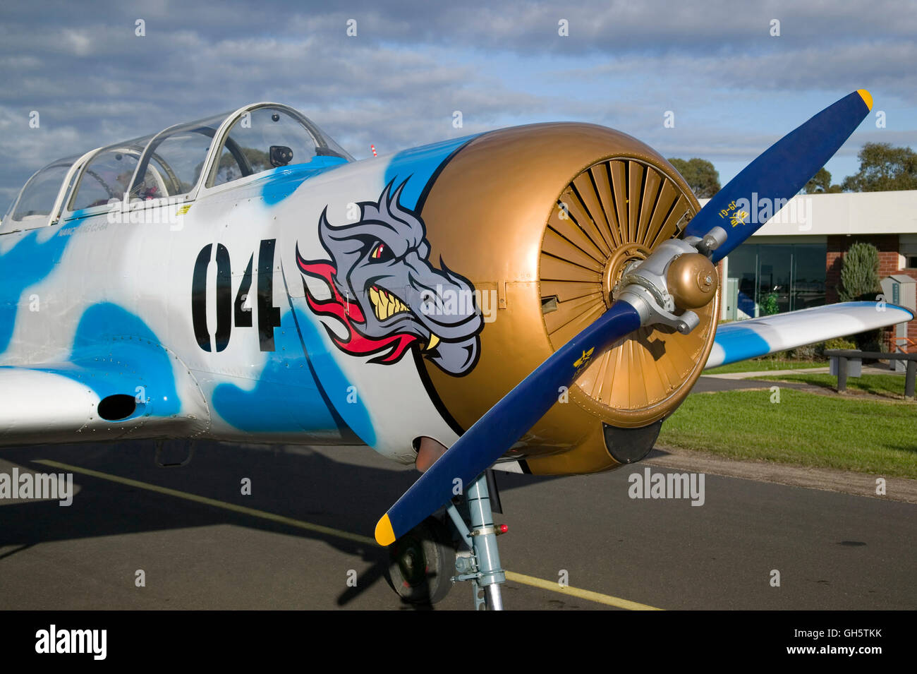 Nanchang CJ6A aircraft with distinctive colors and emblems Stock Photo ...