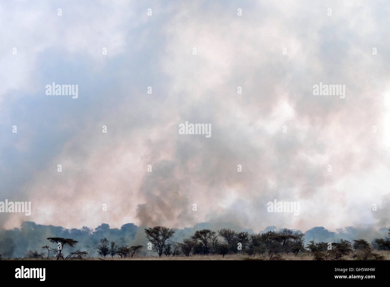 Savanna fire hi-res stock photography and images - Alamy