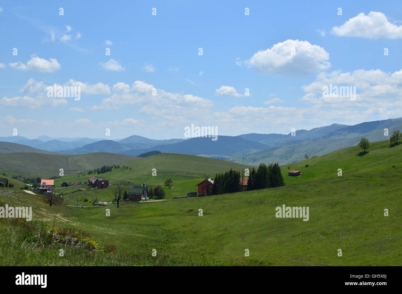 Landscape of Zlatibor Mountain in Serbia with hills, meadows and ...