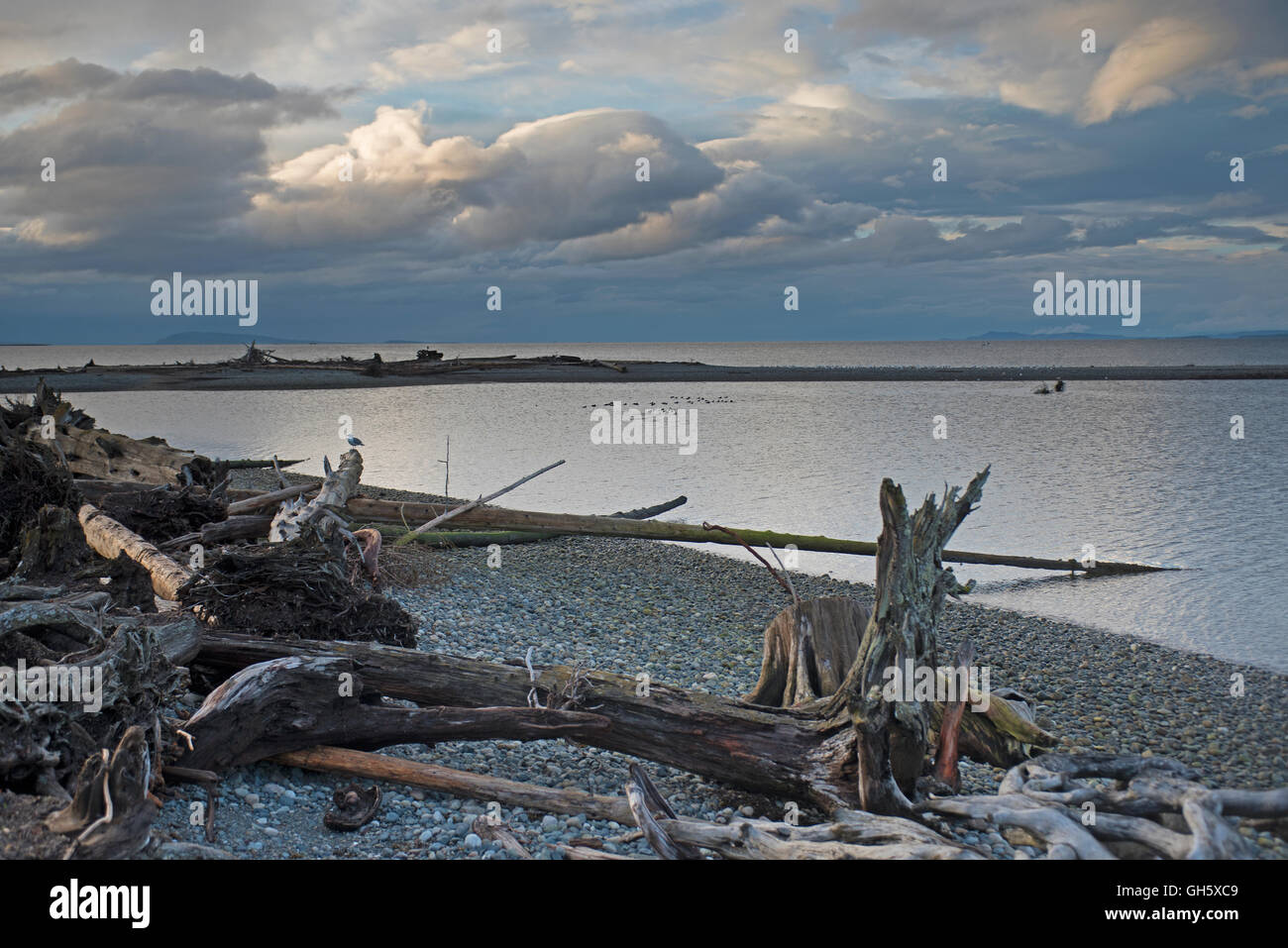 River barge on columbia river hi-res stock photography and images - Alamy