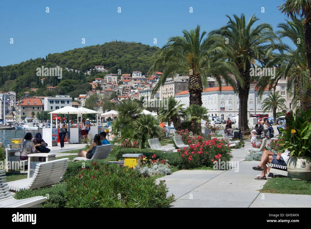 The Riva, the waterfront promenade in Split, Croatia Stock Photo - Alamy