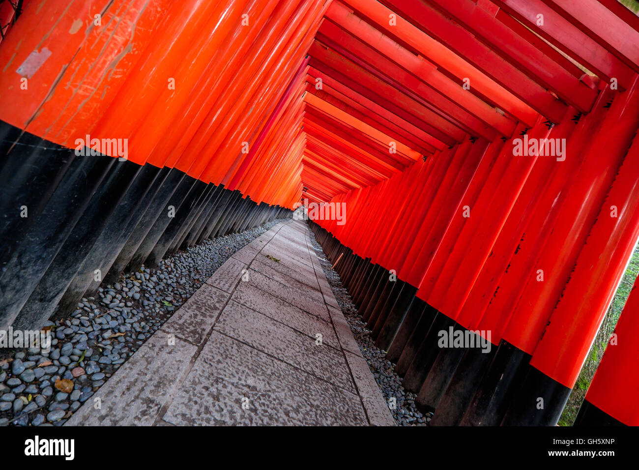 The wonderful Fushimi Inari shrines in Kyoto, Japan Stock Photo - Alamy