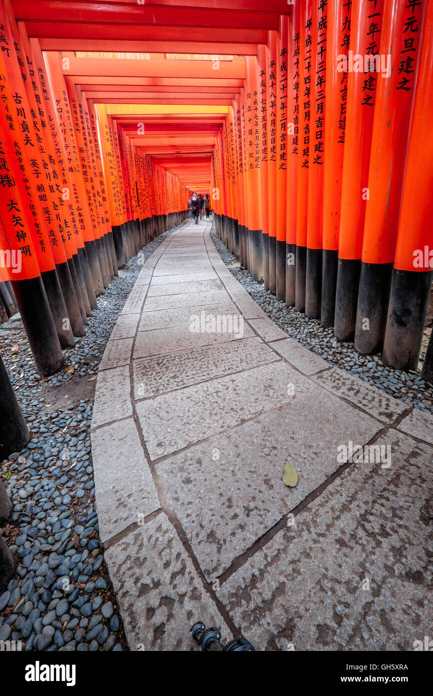 The wonderful Fushimi Inari shrines in Kyoto, Japan Stock Photo - Alamy