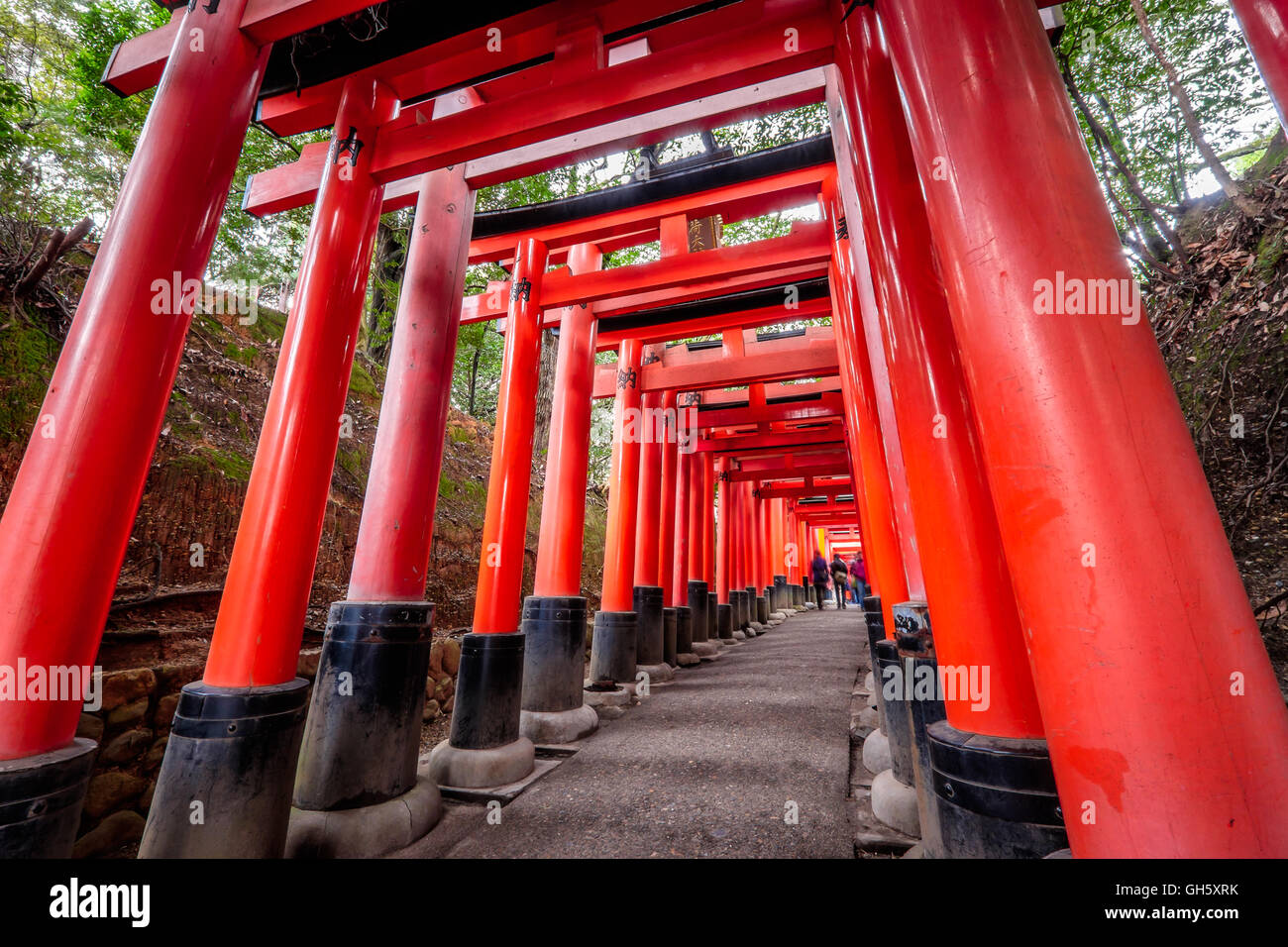 The wonderful Fushimi Inari shrines in Kyoto, Japan Stock Photo - Alamy