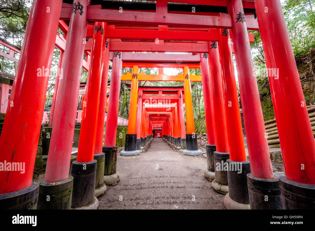 The wonderful Fushimi Inari shrines in Kyoto, Japan Stock Photo - Alamy