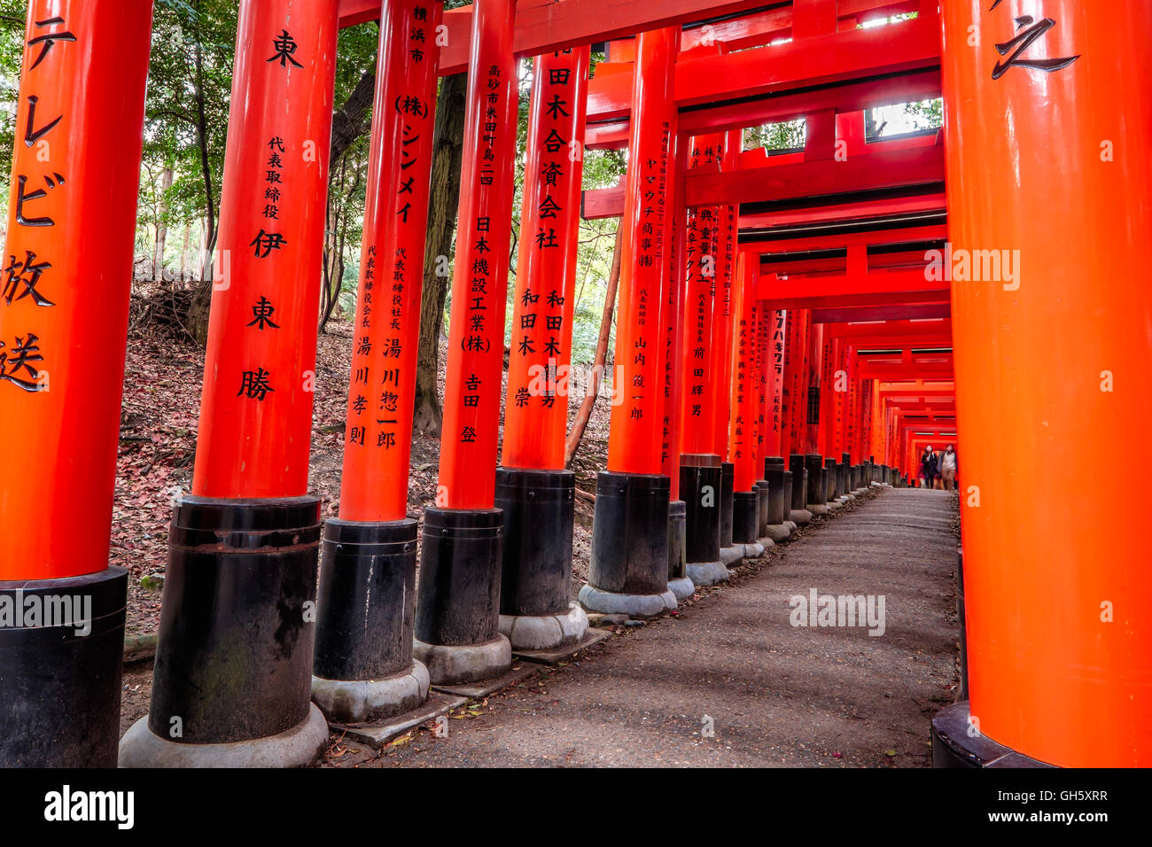 The wonderful Fushimi Inari shrines in Kyoto, Japan Stock Photo - Alamy