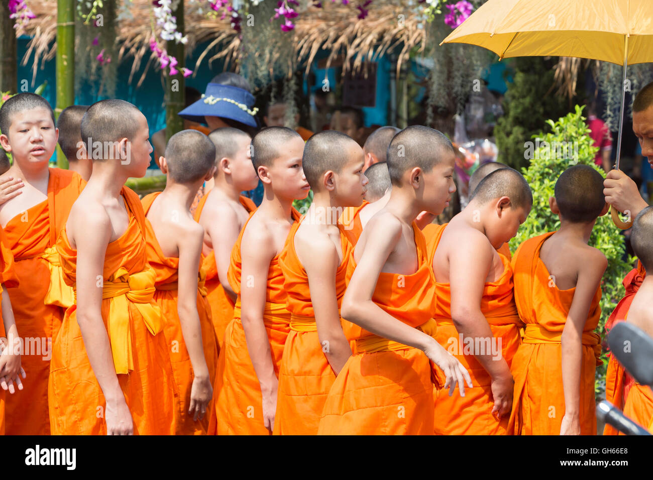 Group of young Thai monks, Thailand Stock Photo - Alamy
