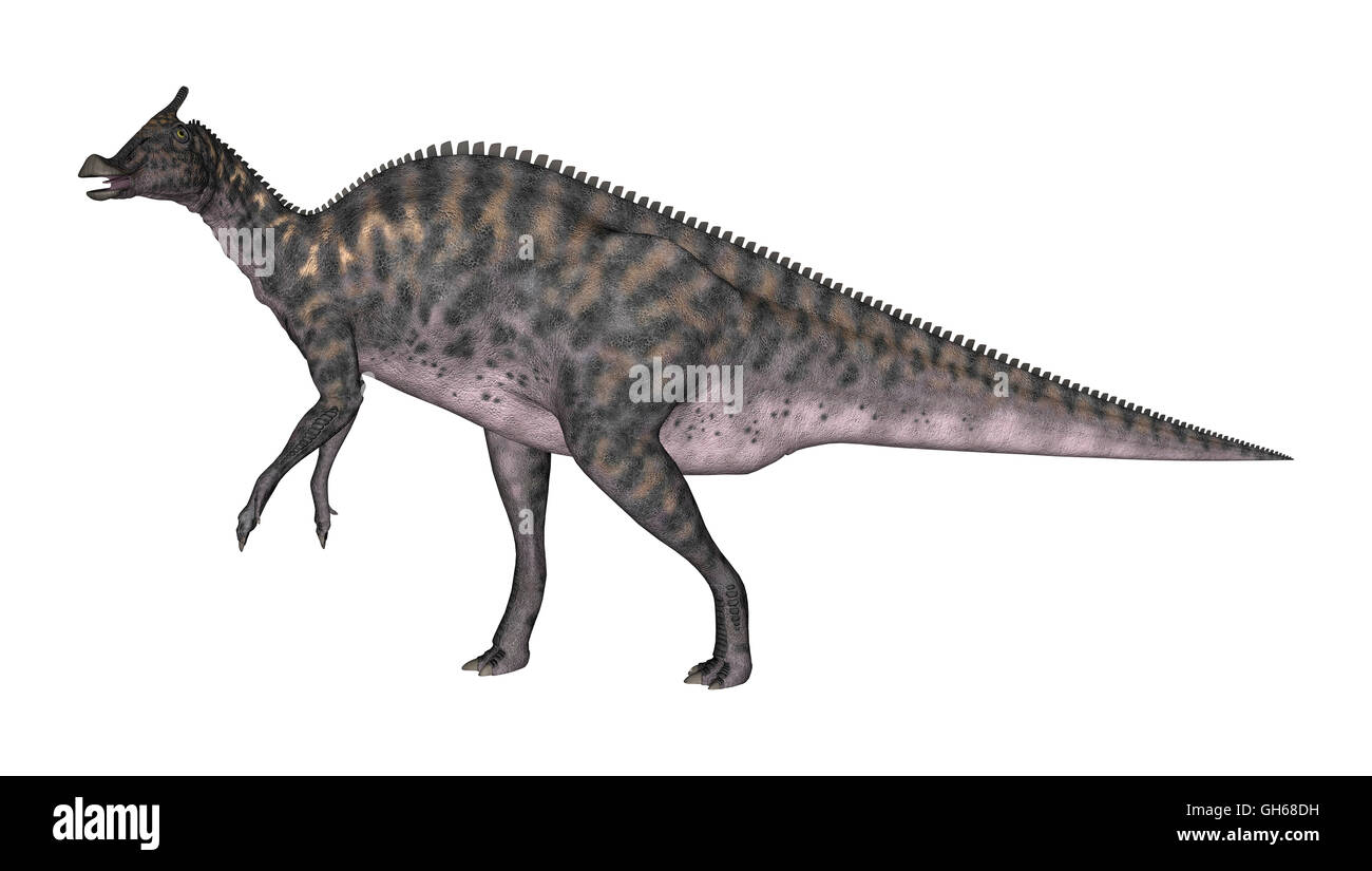 3D rendering of a dinosaur Saurolophus isolated on white background ...
