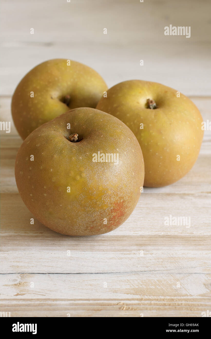 Egremont Russet Apples Stock Photo - Alamy