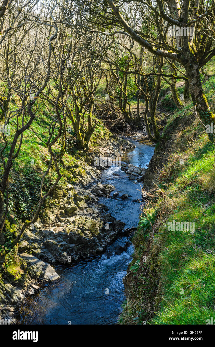Hartland abbey hi-res stock photography and images - Alamy