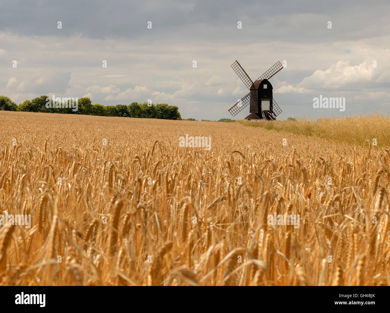 Windmill wheat field hi-res stock photography and images - Alamy